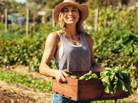 4 Guiding Principles For Organic Farming — Organics Aotearoa New Zealand