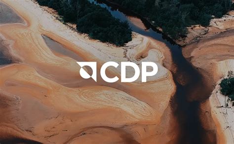 What Is A Cdp Score Sweep