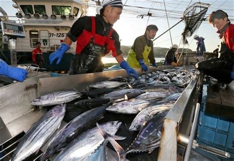 待ってましたーーー 今朝気仙沼魚市場に今年初となるカツオの水揚げがありましたっ 黒門市場 鮮魚川崎