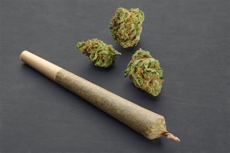 Spliff Vs Joint Everything You Need To Know Buy Low Green