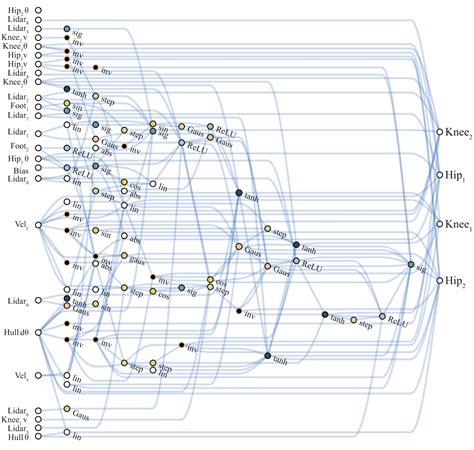 Bipedalwalker Champion Network