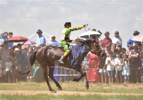 Хэнтий аймгийн 100 жилийн ой зүүн бүсийн уралдаанд байтай уралдсан соёолонгууд