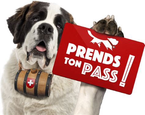 Pass Saint Bernard Pays Du Saint Bernard