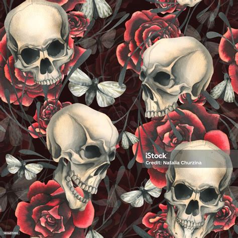 빨간 장미와 밤 나방이 있는 인간의 두개골 손으로 그린 수채화 그림입니다 원활한 패턴 검은색에 대한 스톡 벡터 아트 및 기타 이미지 검은색 고풍스런 공포 무서움