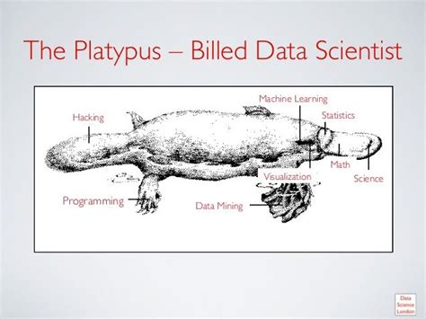 Big Data Sorry And Data Science What Does A Data Scientist Do Data