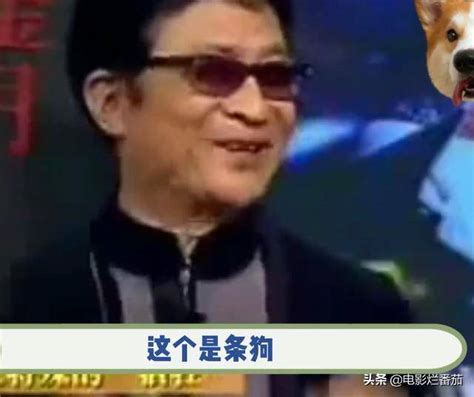 2 2分《犬王》为戏炸死功勋军犬，导演引起公愤遭网友打出超低分 姚守岗 电影 海龙