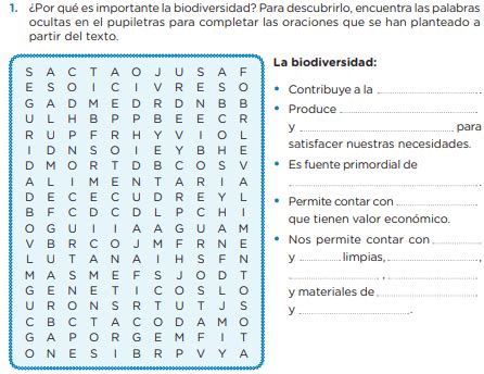 Encuentra Las Palabras Ocultas En El Pupiletras Para Completar Las