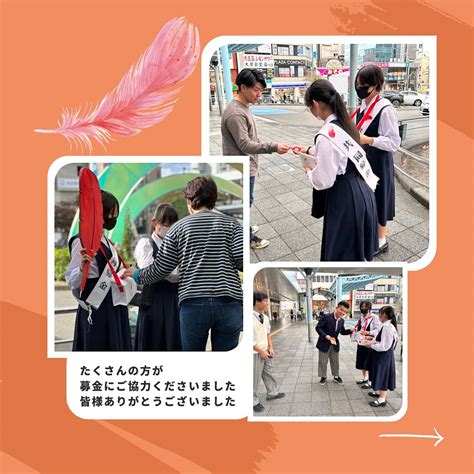 和歌山市社会福祉協議会 ㅤㅤㅤㅤㅤㅤㅤㅤㅤㅤㅤㅤ 10月1日より始まりました 【赤い羽根共同募金運動】
