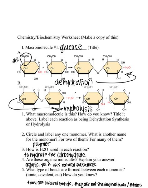 SOLUTION Chemistry Biochemistry Activity Upload Studypool