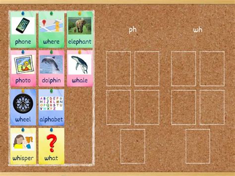 Wh And Ph Group Sort