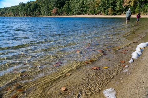 사랑을 배우지 못한 자의 사랑
