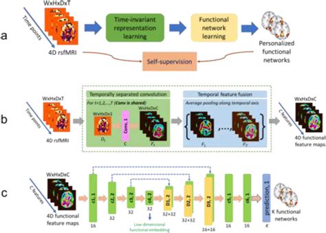 Computing Personalized Brain Functional Networks From Fmri Using Self Supervised Deep Learning Pmc