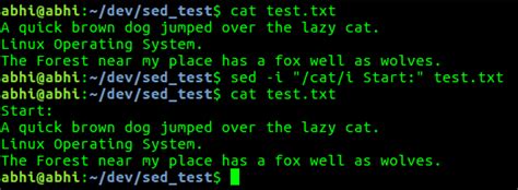 How To Use Sed In Linux