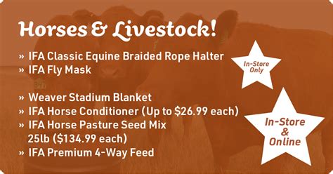 Ifa 100 Year Celebration Ifa Country Store