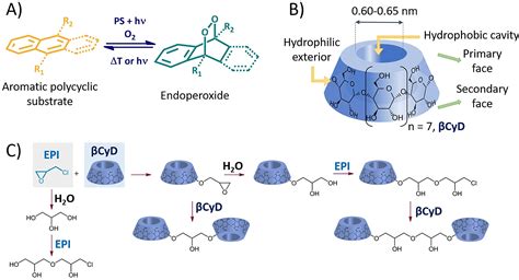 A Cyclodextrin Polymer As Supramolecular Matrix For Scalable Green Photooxygenation Of