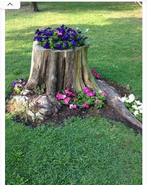 30 Old Tree Stumps Turned Into Beautiful Flower Planters Artofit