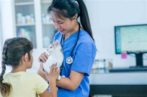 Getting Started With Online Appointments In Your Veterinary Practice
