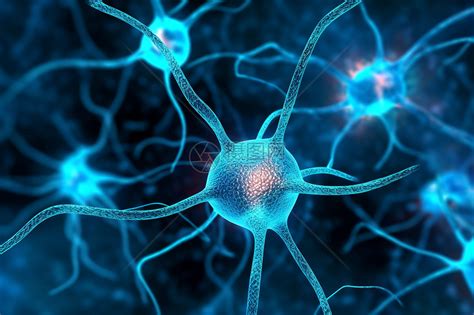 医学神经细胞图片素材 正版创意图片600210385 摄图网