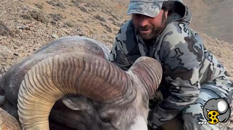 گوزن بسیار بزرگ رو شکار کردن فیلو