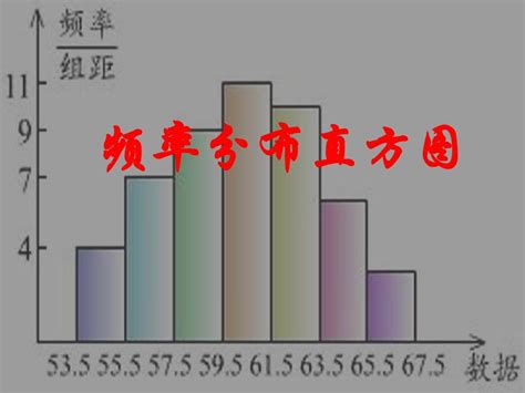 高一数学《频率分布直方图》word文档在线阅读与下载无忧文档