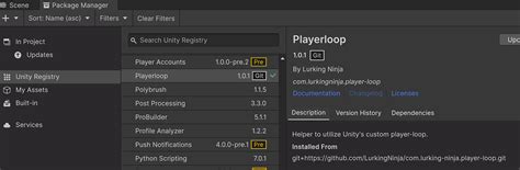 Unity Registry Contains Installed Package From My Own Git Repo Unity