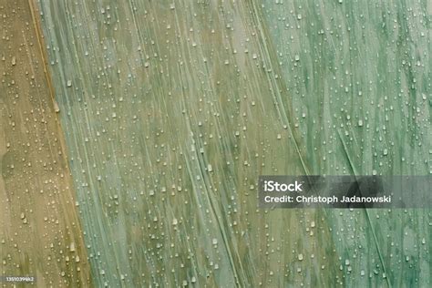 미세주름과 물방울이 있는 젖은 녹색 플라스틱 필름 표면 0명에 대한 스톡 사진 및 기타 이미지 0명 개념 기포 Istock