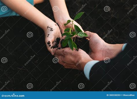 Grow And Nurture Acceptance Concept Plant On Pot With Flower On Blue
