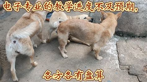 上个课，也是各有盘算的。我也要多为自己考虑了 Youtube