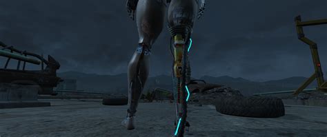 A S I A Sexbots of The Commonwealth with BoS add on Живность и NPC GameSource