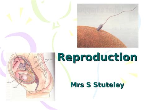 Reproduction In Humans Edexcel Igcse Teaching Resources
