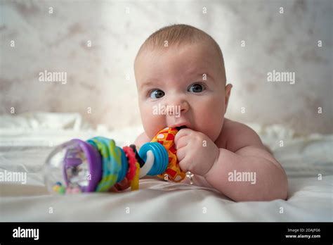 Cute Happy Baby Thumb Sucking And Plays A Rattle Stock Photo Alamy