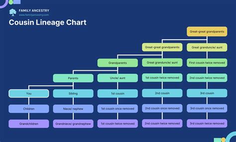 Cousin Lineage Chart Template Venngage