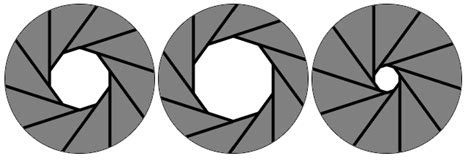 Html Trying To Create A Camera Shutter Effect With Divs Stack Overflow