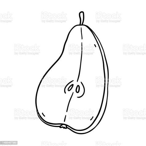 하얀 배경에 분리된 얇게 썬 배 윤곽선 스타일의 벡터 손으로 그린 그림입니다 카드 장식 로고 메뉴 레시피 다양한 디자인에 적합 건강한 식생활에 대한 스톡 벡터 아트 및 기타