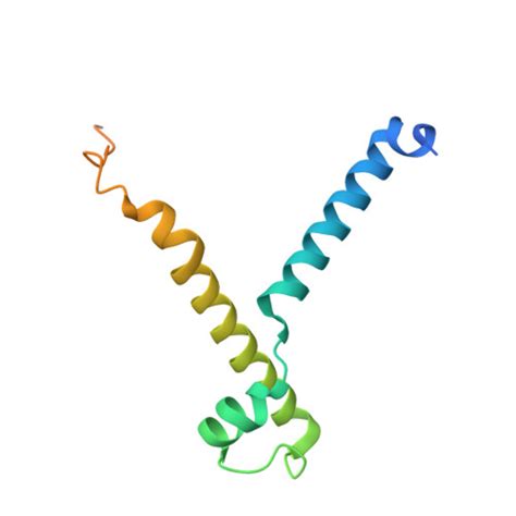 Rcsb Pdb 7xzi Cryo Em Structure Of Toc Tic Supercomplex From Chlamydomonas Reinhardtii
