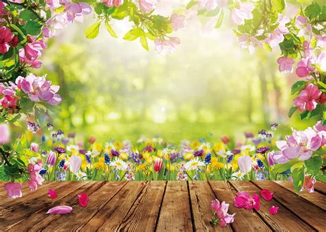 Alltten X M Spring Background Spring Pink Flowers Photography Background Nature