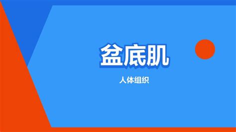 盆底肌 人体组织 搜狗百科
