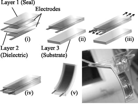 Saddle Like Deformation In A Dielectric Elastomer Actuator Embedded With Liquid Phase Gallium