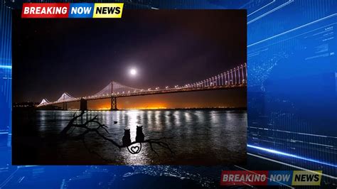 Tragic Collision In San Francisco Waymo Robotaxi Involved In Multi Vehicle Crash Leaving One