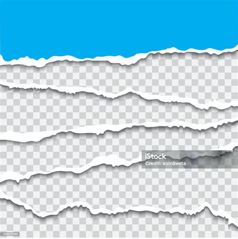 찢어진 종이 스트립 벡터 일러스트 레이 션 템플릿 찢어진 된 종이 가장자리 가장자리에 대한 스톡 벡터 아트 및 기타 이미지 가장자리 거친 공란 Istock