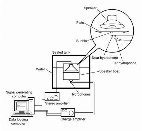 Computer Speaker Schematic Diagram Circuit Diagram