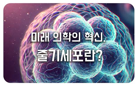 미래 의학의 혁신 줄기세포란