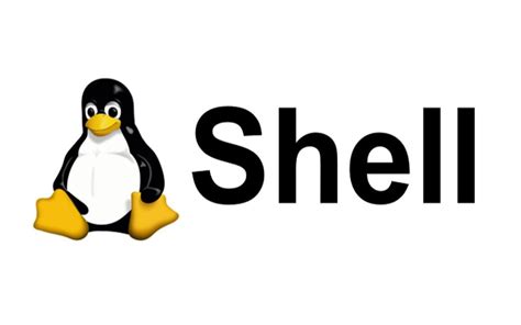 自动化运维篇shell从入门到精通哔哩哔哩bilibili