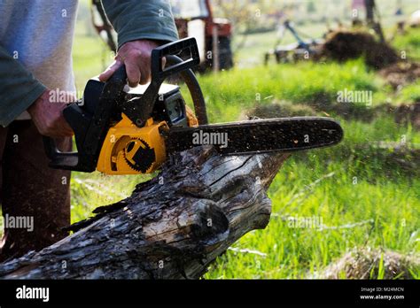 Man Cuts A Fallen Tree Dangerous Work Stock Photo Alamy