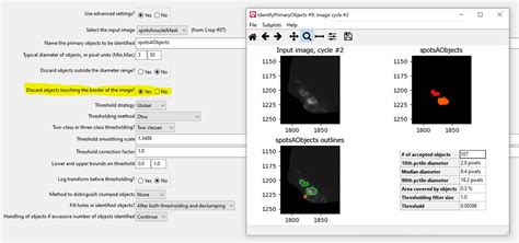 Considering Mask As The Image Boundary Using Identifyprimaryobjects