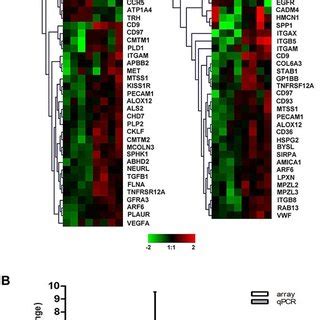 Microarray Analysis And Validation A Differential Gene Expression Of Download Scientific