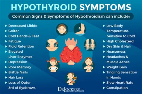 5 Must Have Fruits For Thyroid Patients Artofit