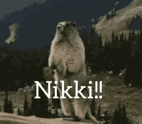 Nikki S Tenor