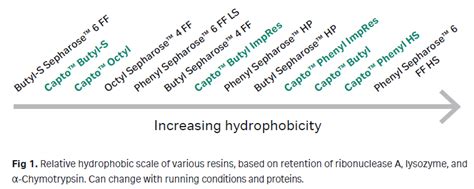 Capto Butyl S Hydrophobic Interaction Chromatography Resin Cytiva