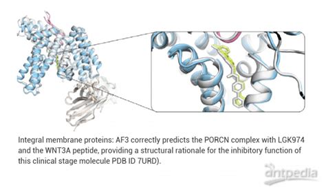 科研助攻 Alphafold 3 这么牛,如何使用,一文 Get! 科研助攻 Alphafold 3 这么牛,如何使用,一文 Get!